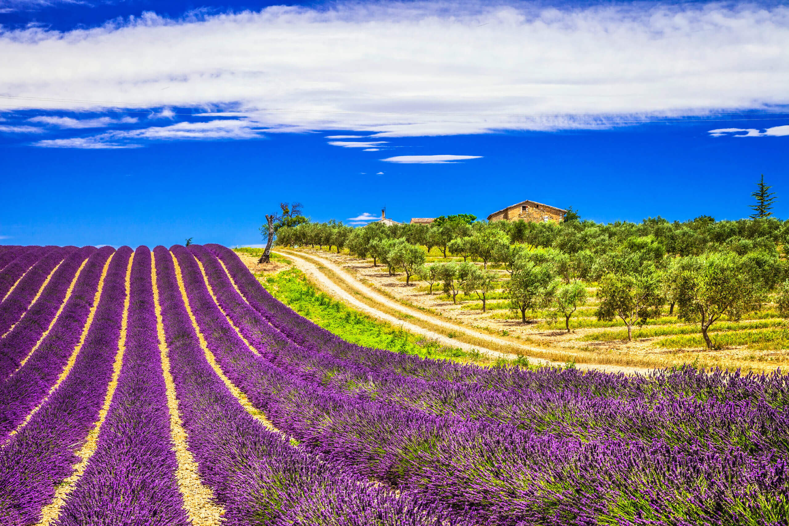 The top 5 places to visit in Provence - Defoes Lifestyle